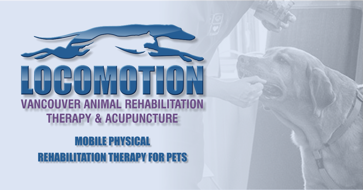 LOCOMOTION | VANCOUVER ANIMAL REHAB THERAPY & ACUPUNCTURE